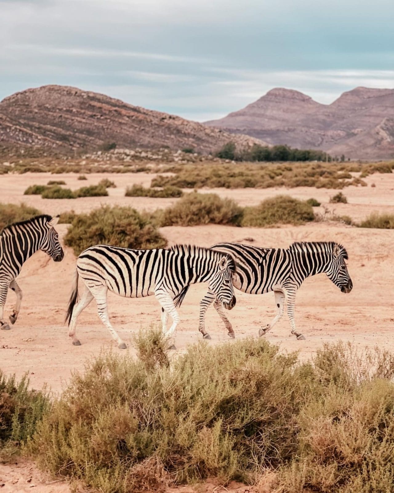 Women's Only Travel Tours | Solo Trips for Women | Boutique Tours ...